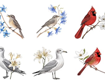 State Birds & Flowers Design Bundle. 5 PNG Files per State. Custom ...