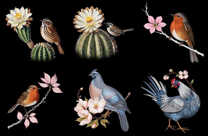 State Birds & Flowers Design Bundle. 5 PNG Files per State. Custom ...
