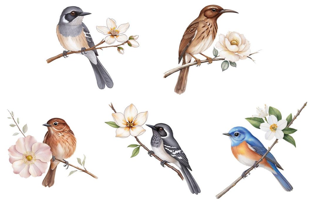 State Birds & Flowers Design Bundle. 5 PNG Files per State. Custom ...