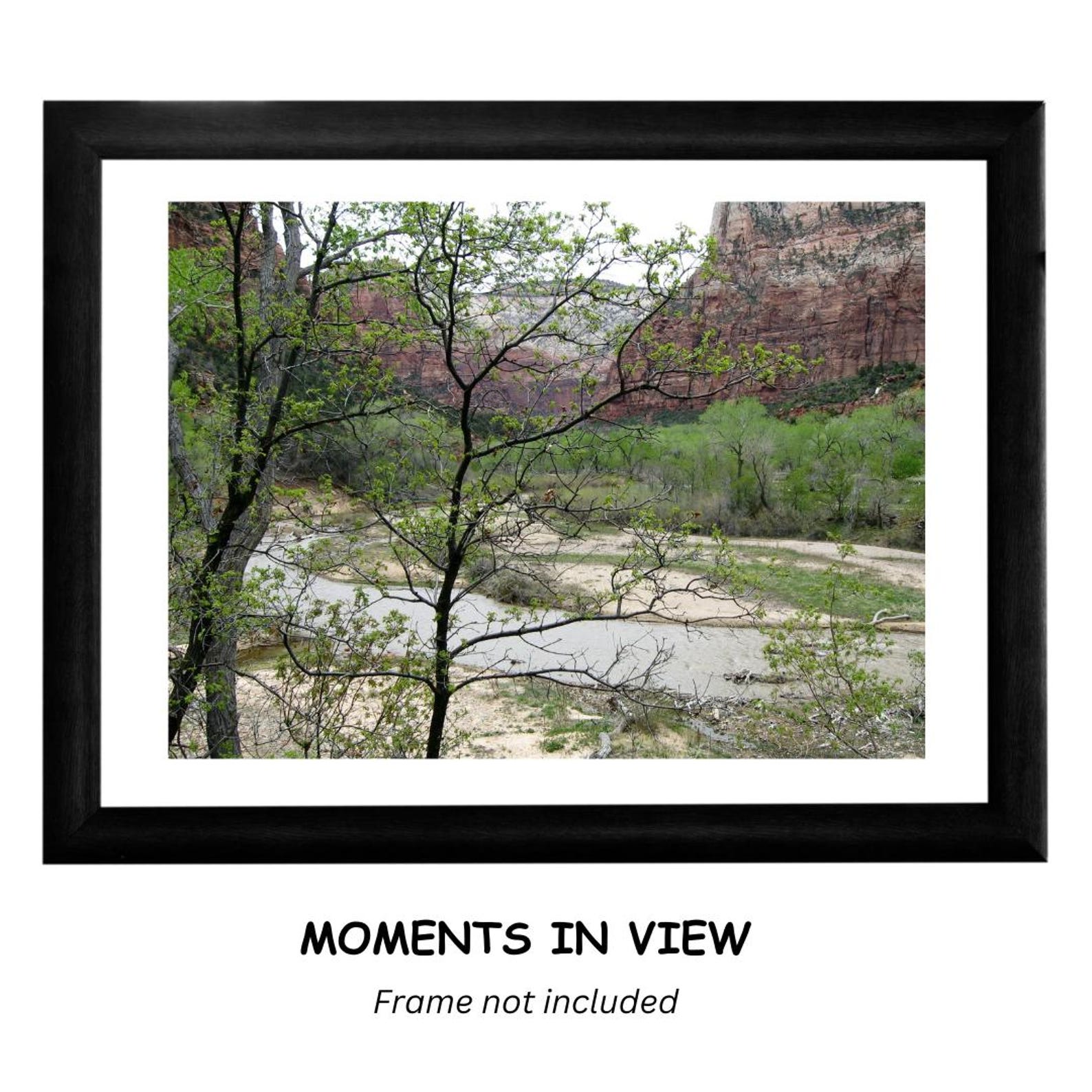 Zion Textures - Etsy