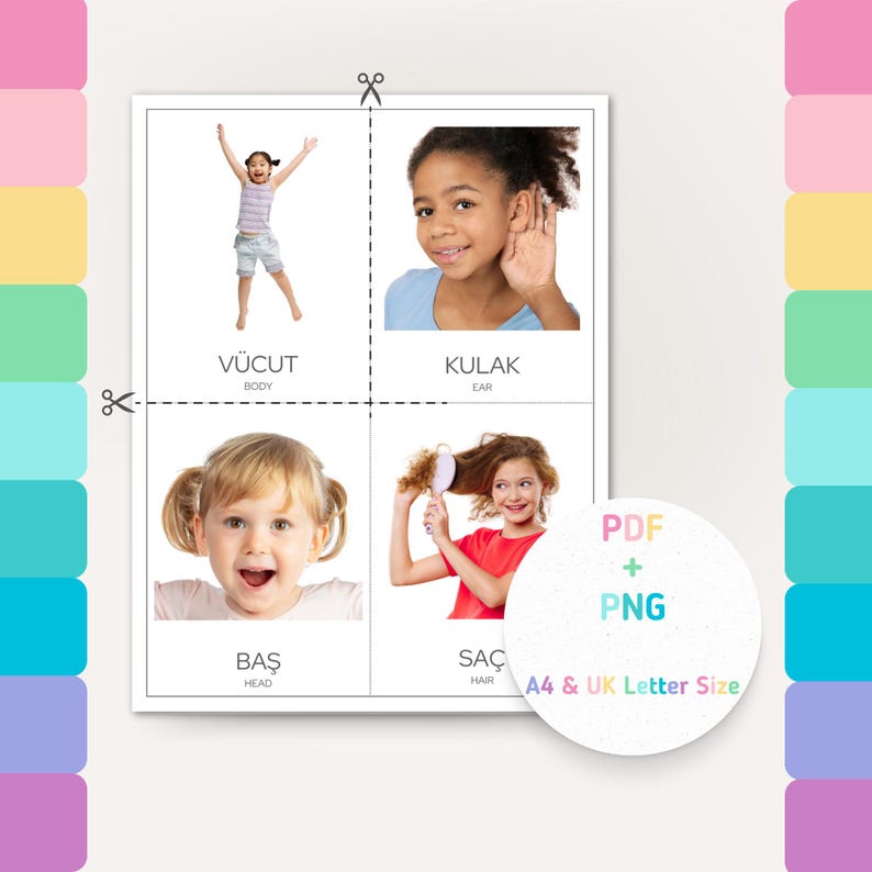Body Parts Vocabulary Flashcards PDF, Flashcards Nomenclature ...