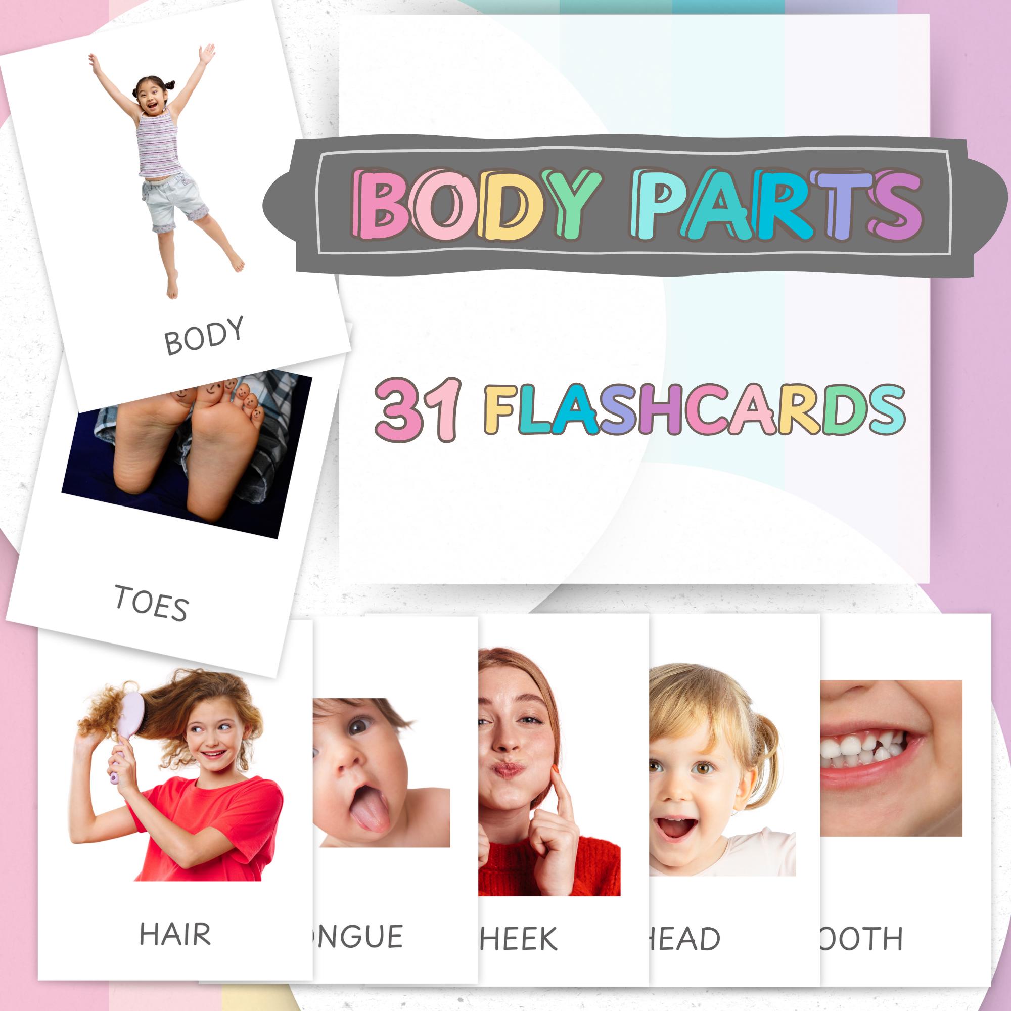 Body Parts Vocabulary Flashcards PDF, Flashcards Nomenclature ...