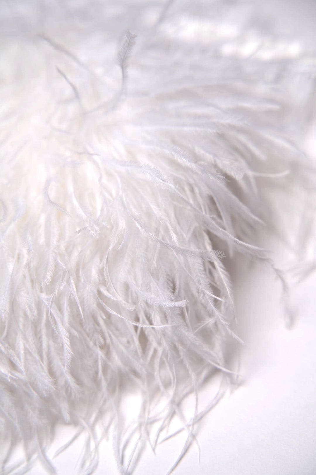 White Ostrich Feather Trim, Feather Trim by the Yard, White Feather ...