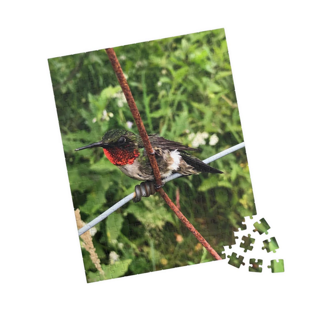 Hummingbird Puzzle | Family Game Night | Board Games | Wildlife ...