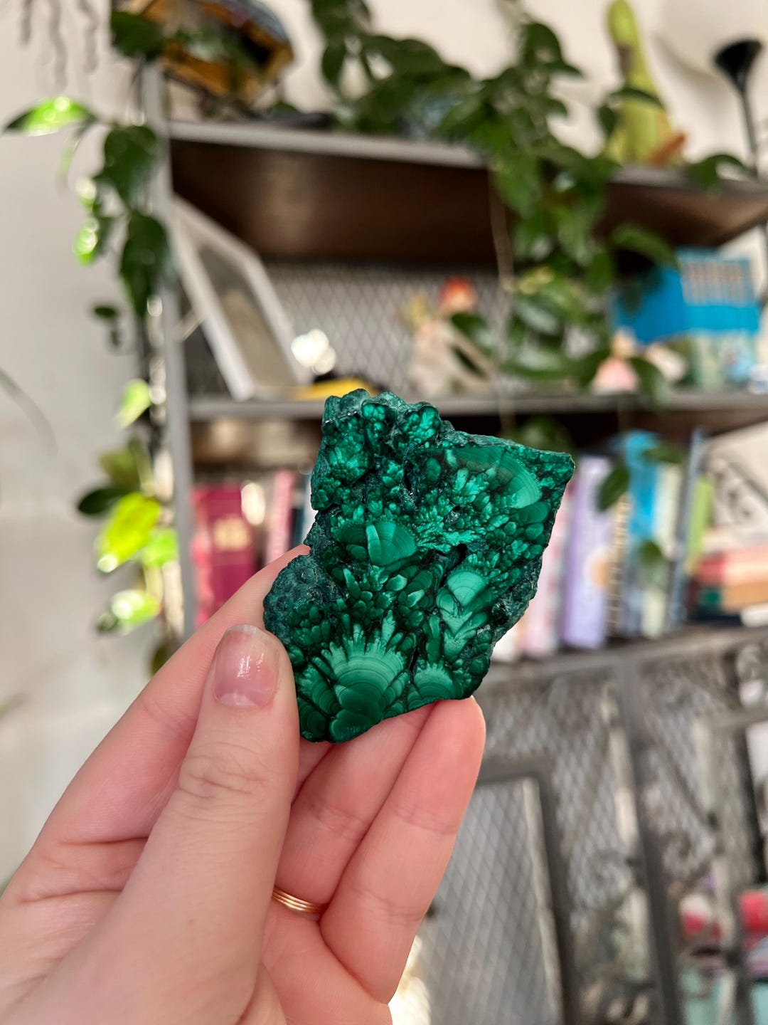 Malachite Slab Small Malachite Slab Small Malachtie Green Crystal ...
