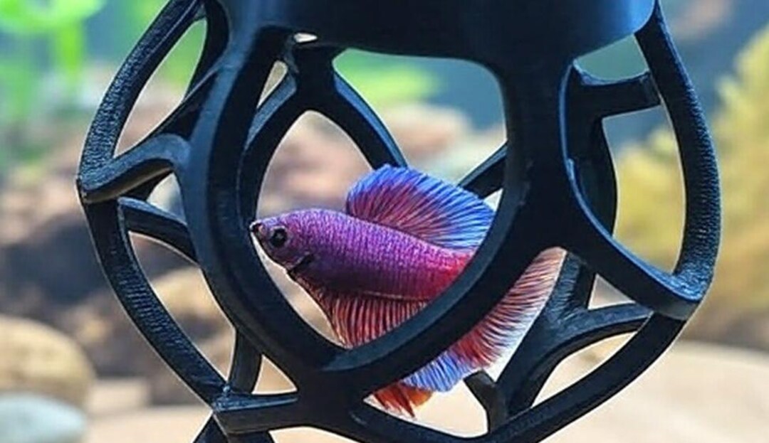 Floating Fish Playground: Betta & Guppy Aquarium Hideout With Feeder - Etsy