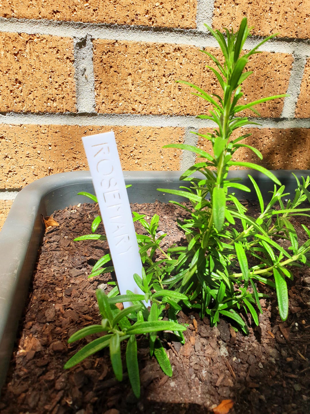 Set of 4 Custom Garden Markers Personalized Plant Labels Herb Garden ...