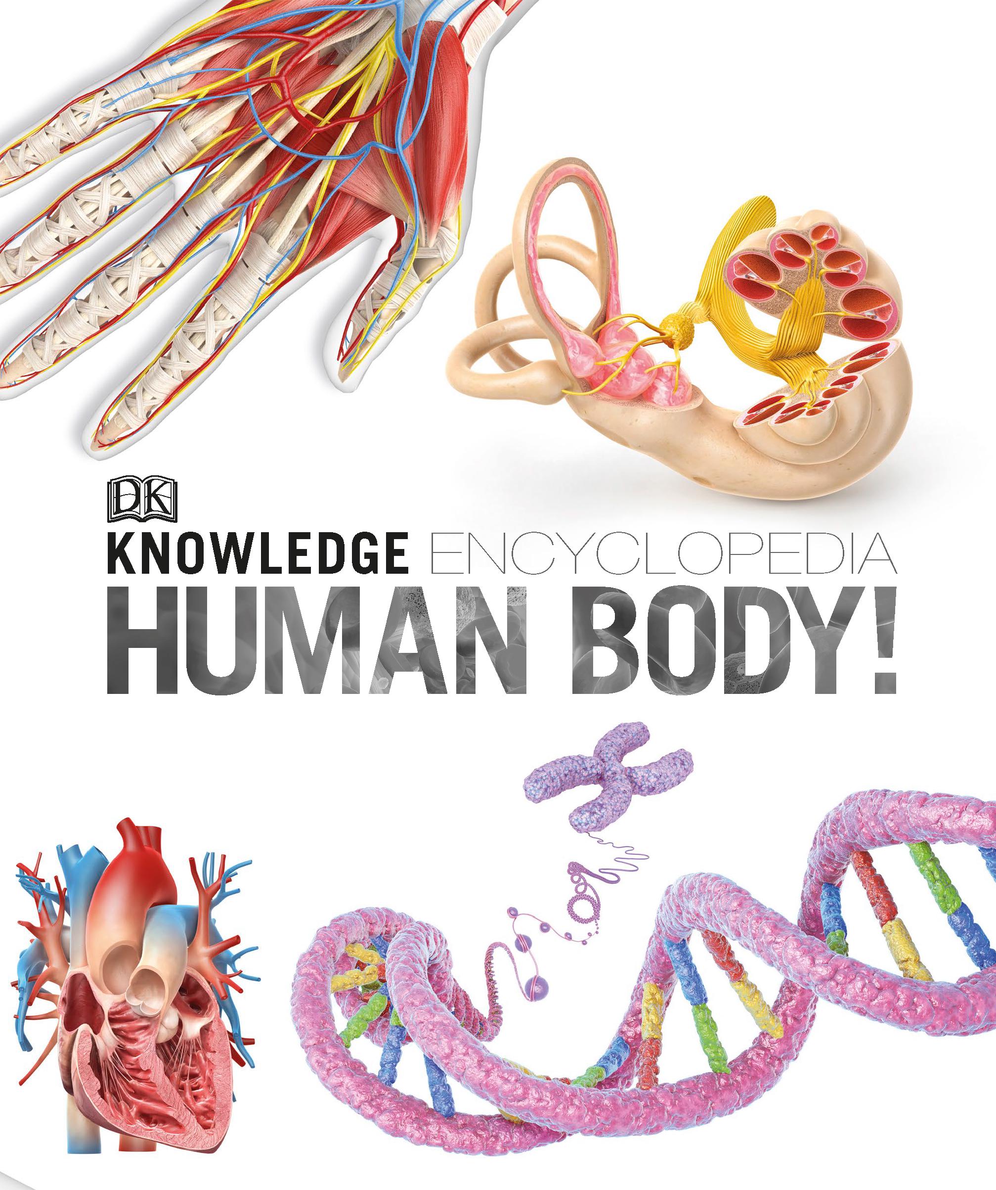 Knowledge Encyclopedia Human Body! - Etsy