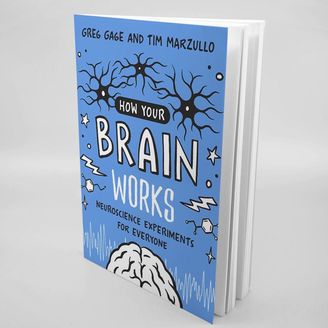 How Your Brain Works Neuroscience Experiments for Everyone - Etsy