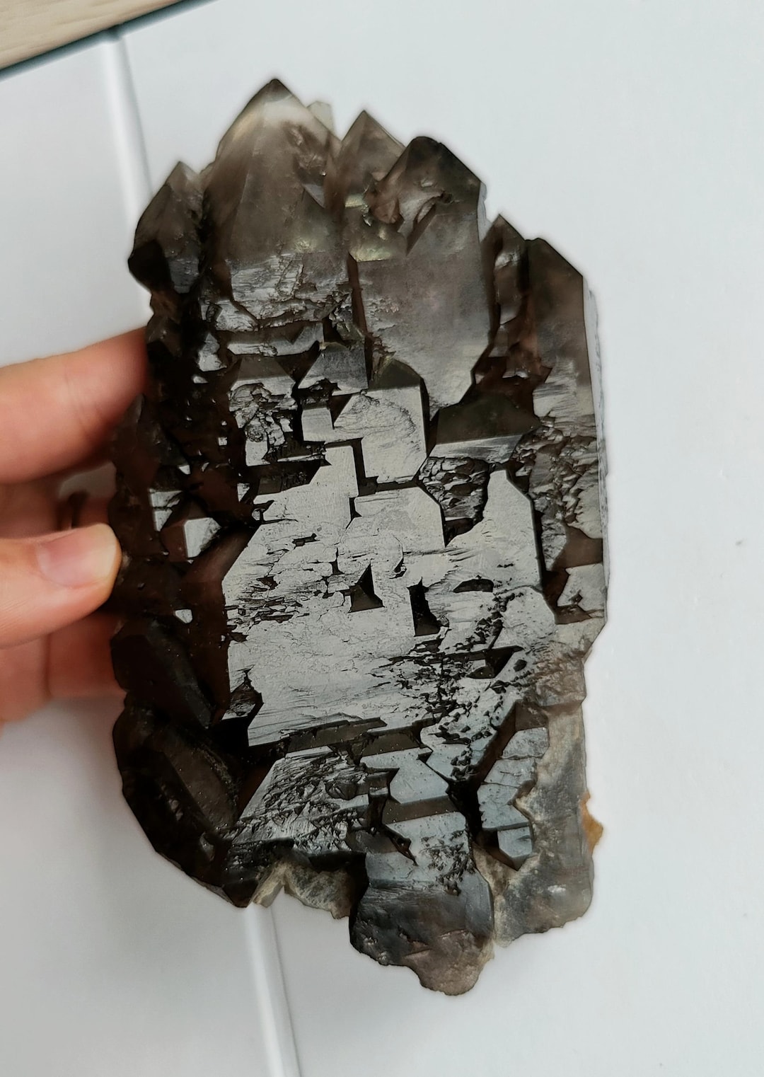 Gate of the Divine Temple. Large Brazil Alligator Quartz, Smoky Black ...