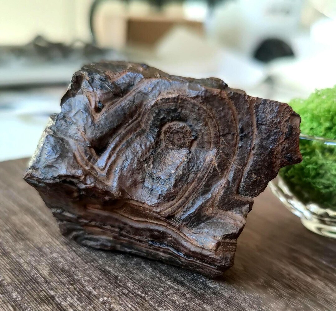 The Prophet. Large Egyptian Miracle Stone, Metaphysical Stone Found in ...