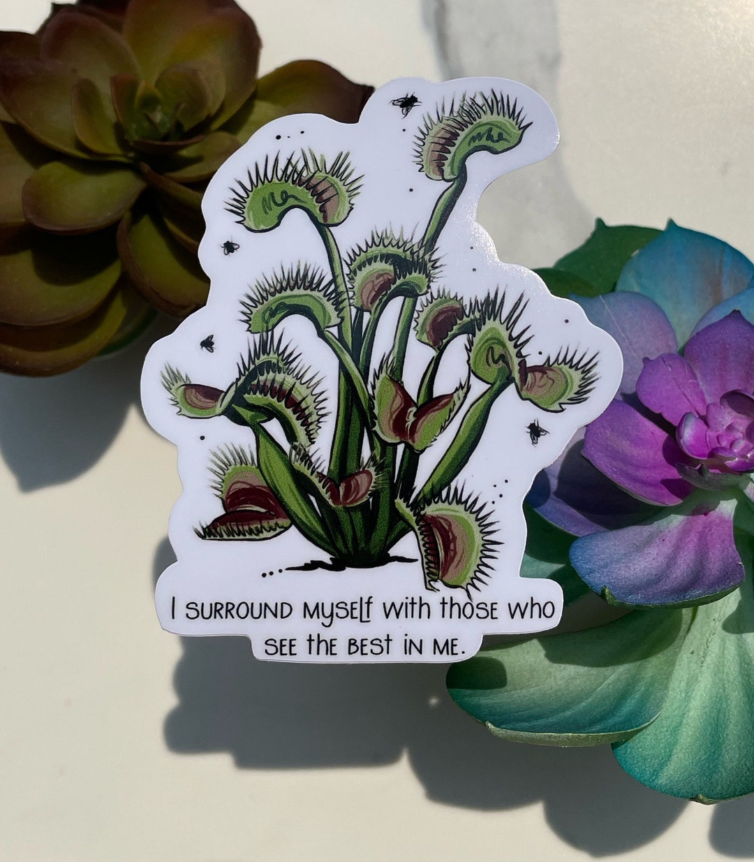 Venus Fly Trap Sticker or Magnet, Ironic Fun Funny Magnet, Silly Gift, Motivational Quote ...