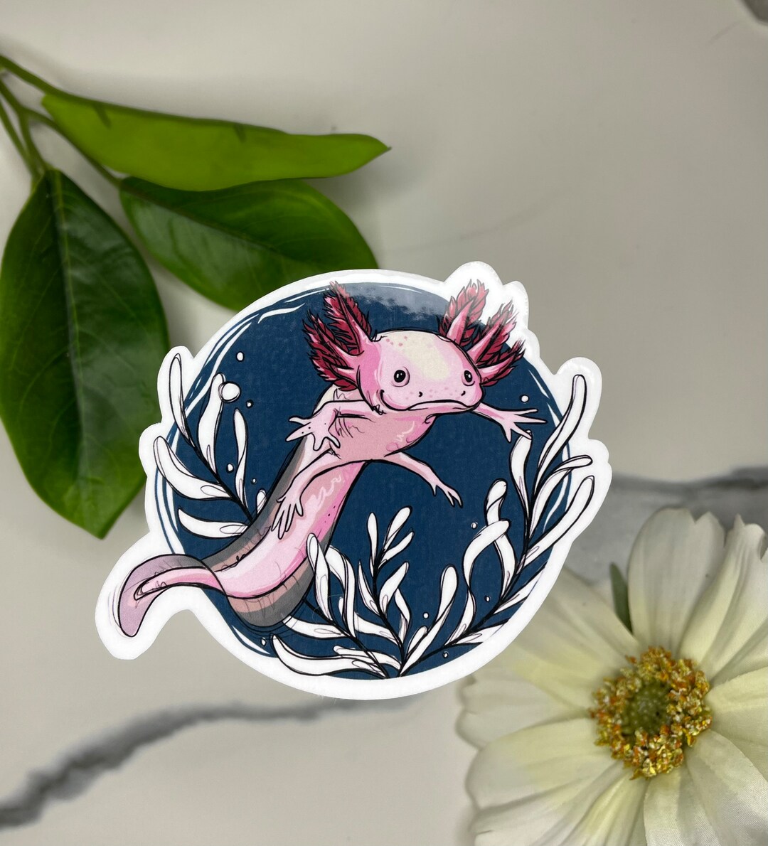 Axolotl Sticker or Magnet, Amphibian Sticker, Cute Sticker, Laptop ...