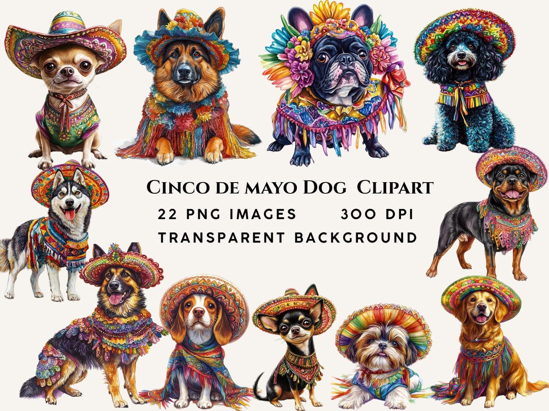 Cinco De Mayo Dog Breeds Clipart: Mexican Fiesta (PNG Digital Download ...