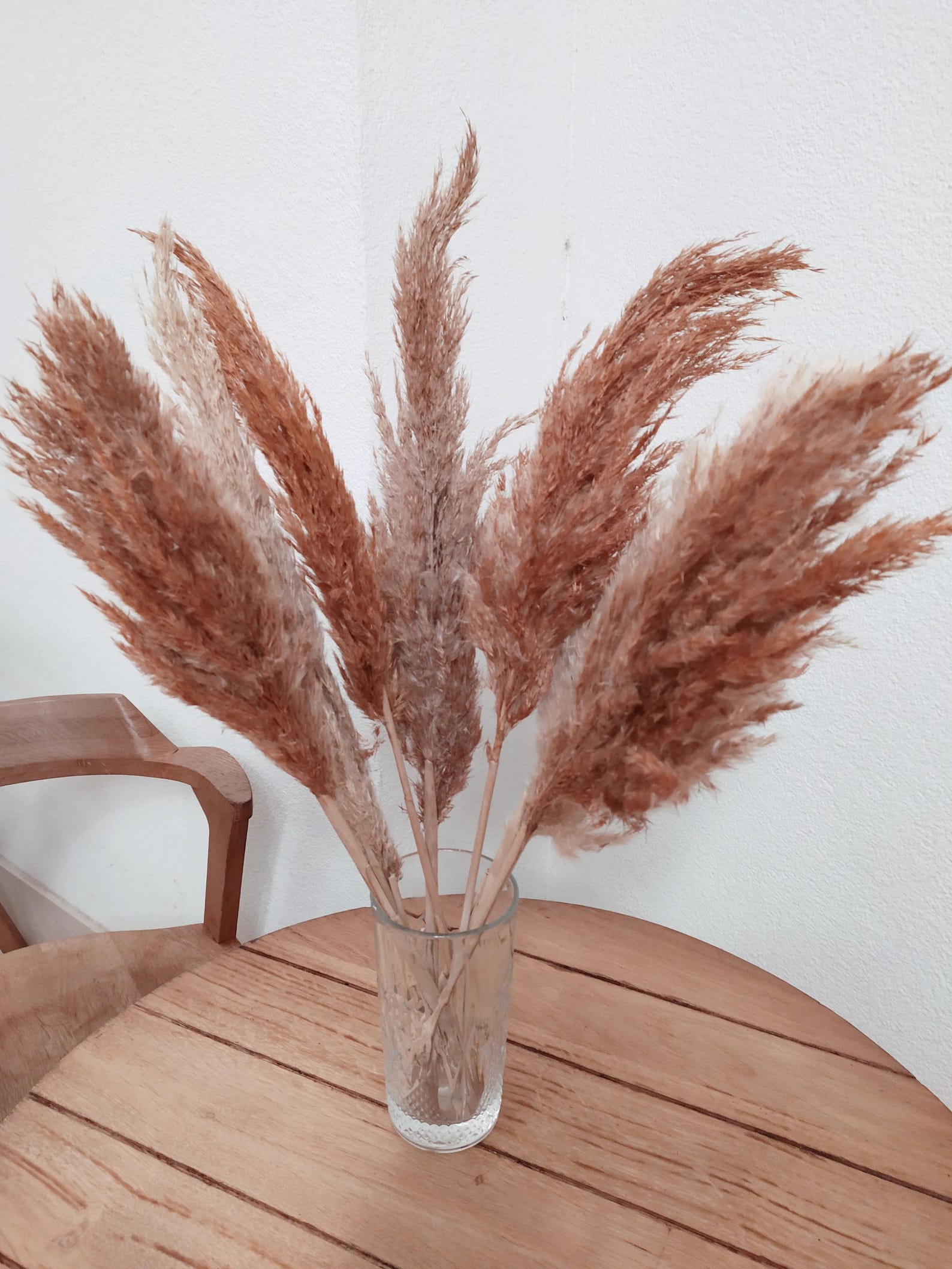 24 Peach Fuzzi Pampas Grass Bouquet 10pc, Natural Dried Pampas, Pink ...