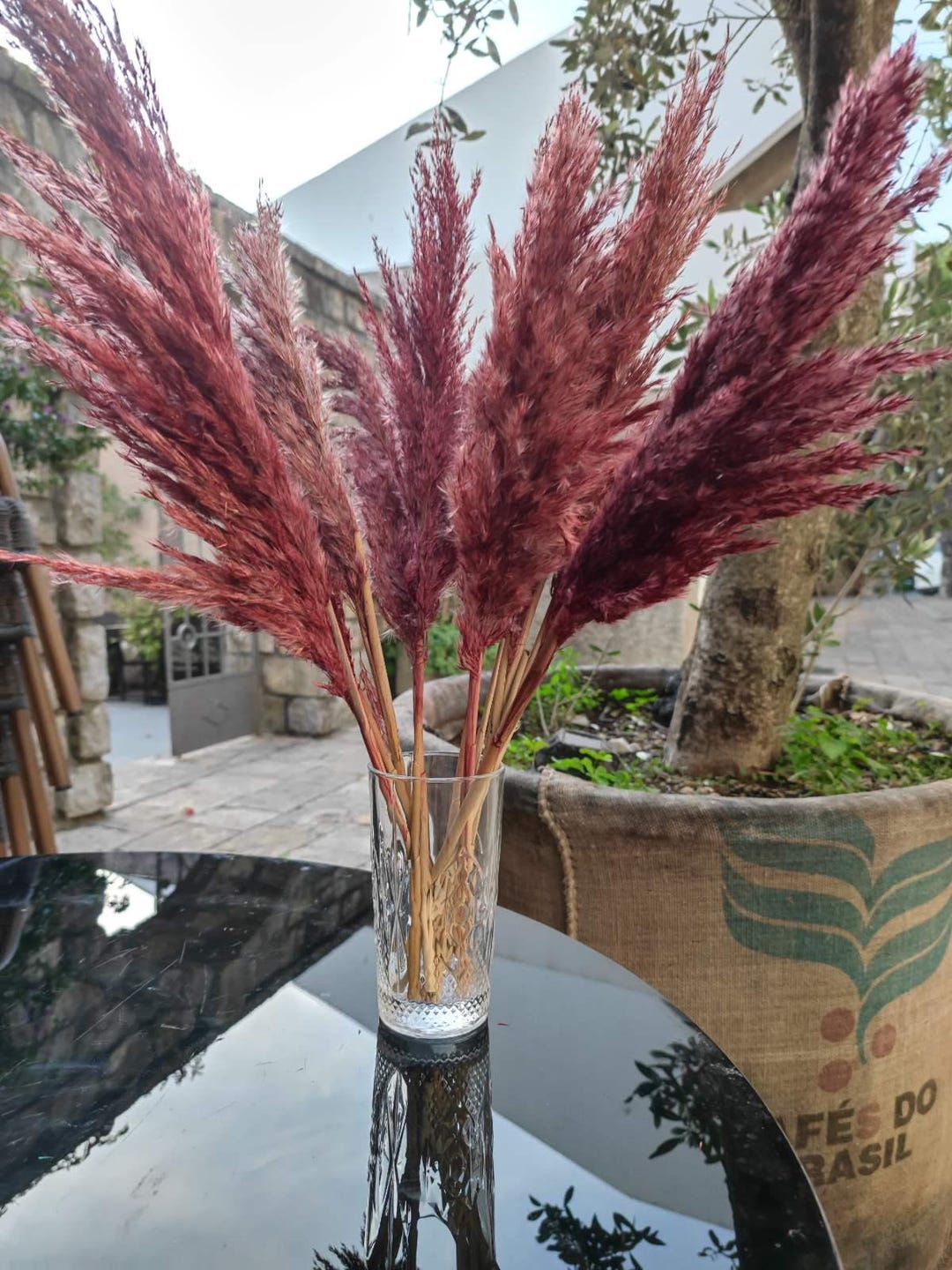 Rustic Natural Pampas Grass Bouquet 10pc, Wine Colour, Dried Pampas ...