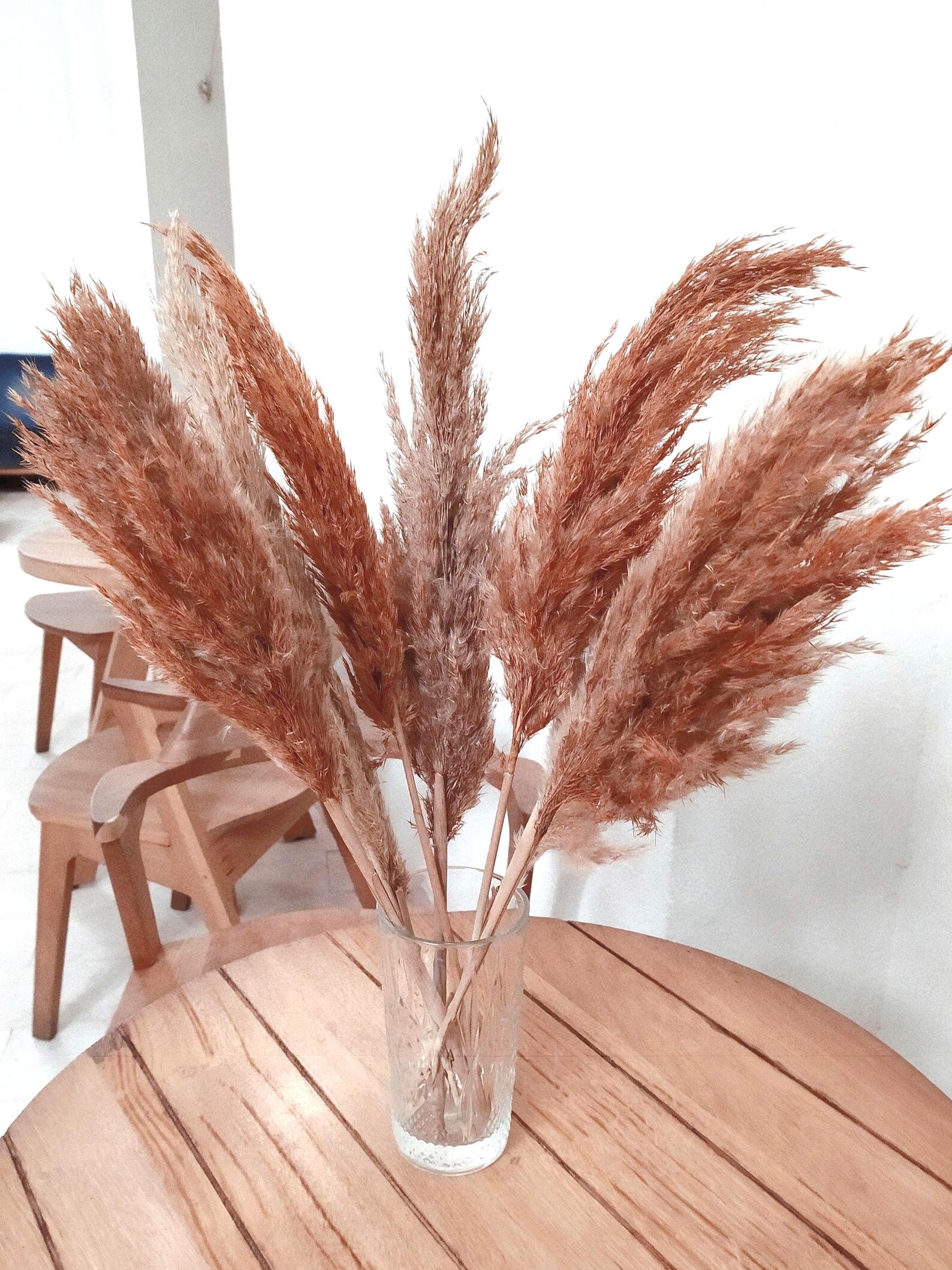24 Peach Fuzzi Pampas Grass Bouquet 10pc, Natural Dried Pampas, Pink ...
