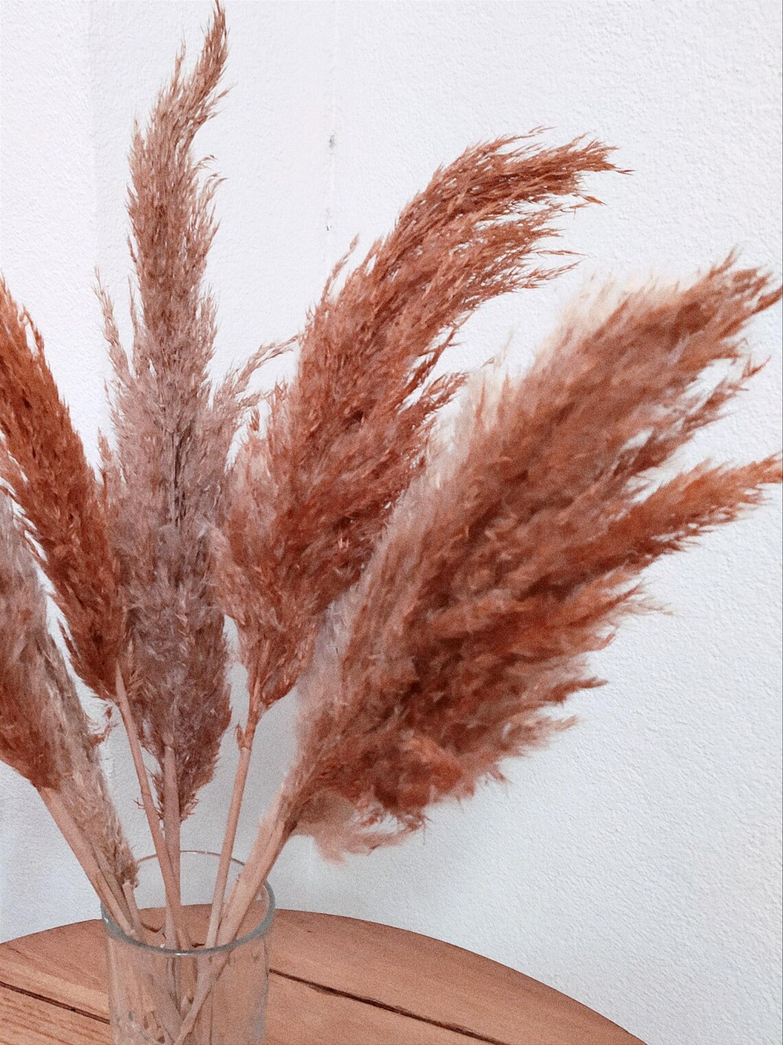 24 Peach Fuzzi Pampas Grass Bouquet 10pc, Natural Dried Pampas, Pink ...