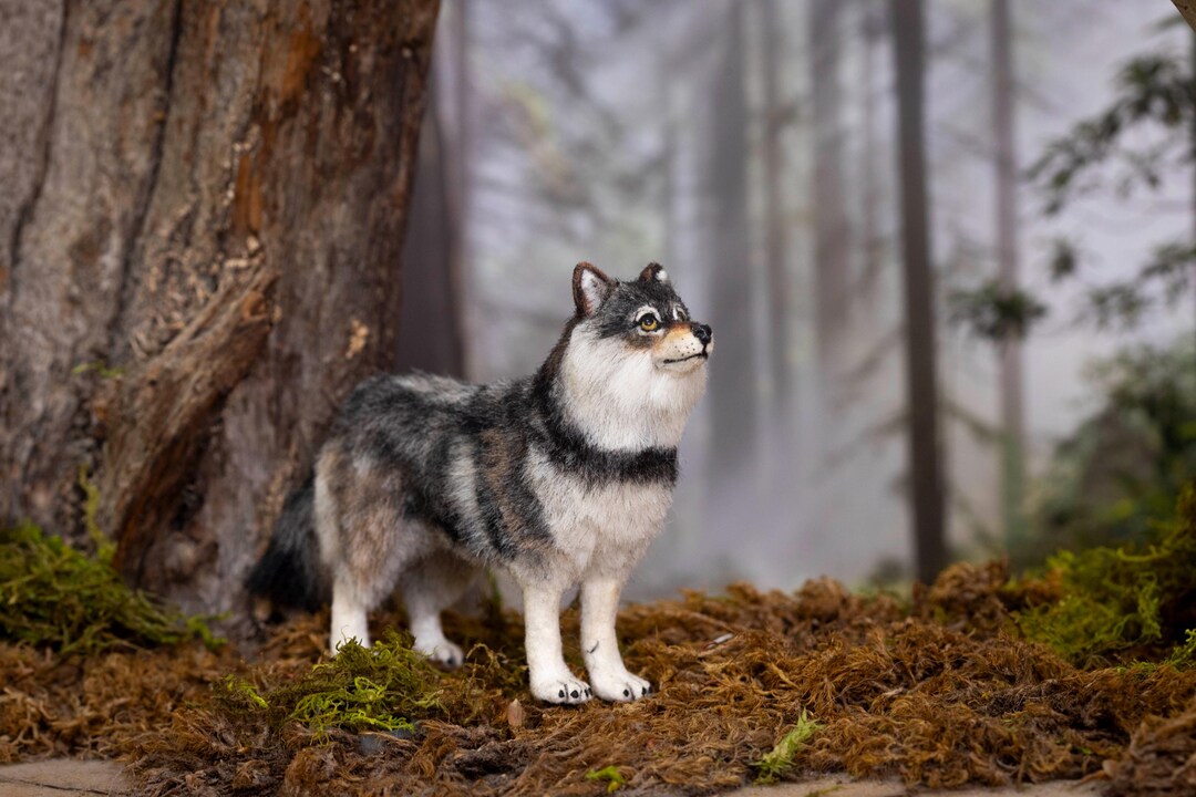 1/12 Scale Standing Stalking Wolf Dog Dollhouse Miniature OOAK Furred ...