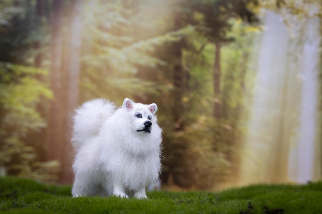 Dollhouse Miniature American Eskimo Dog Artist Sculpted Furred OOAK Dog ...