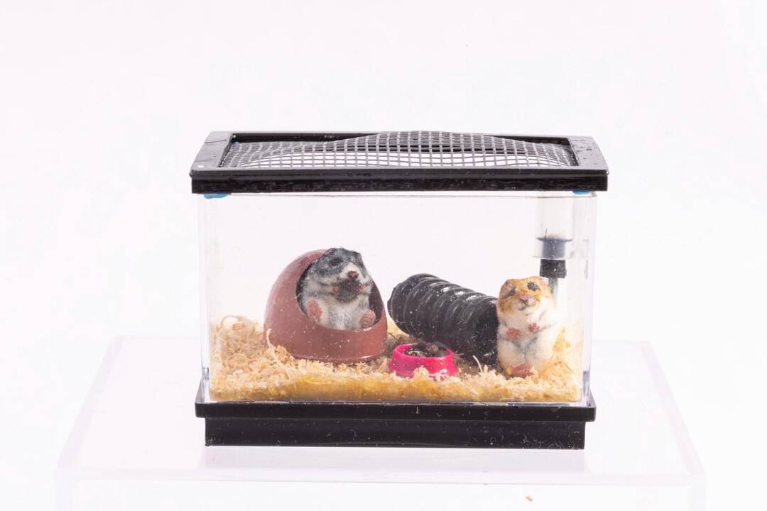 Dollhouse Miniature Flocked Realistic Hamster Rodent Cage and ...