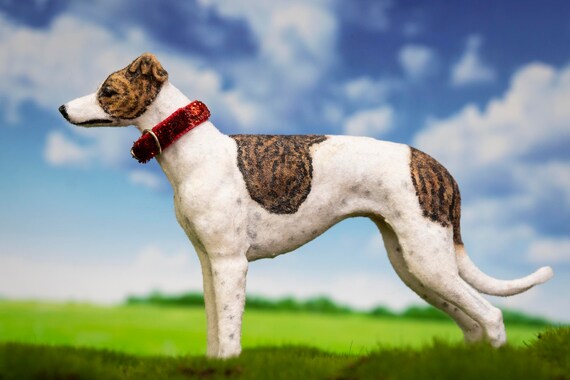 Miniatur Windhund Italienisches Windspiel Im Tiermarkt Von