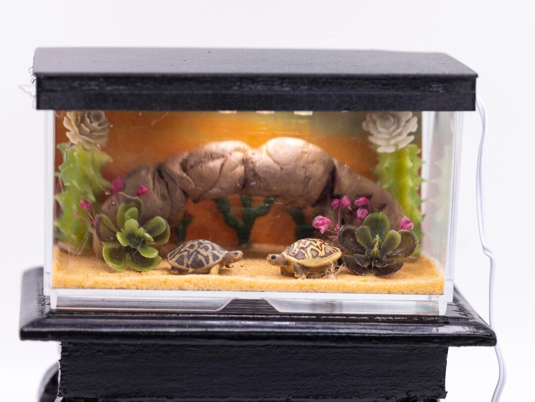 Dollhouse Miniature Tortoise Large Terrarium Tank Cage Aquarium Mini ...