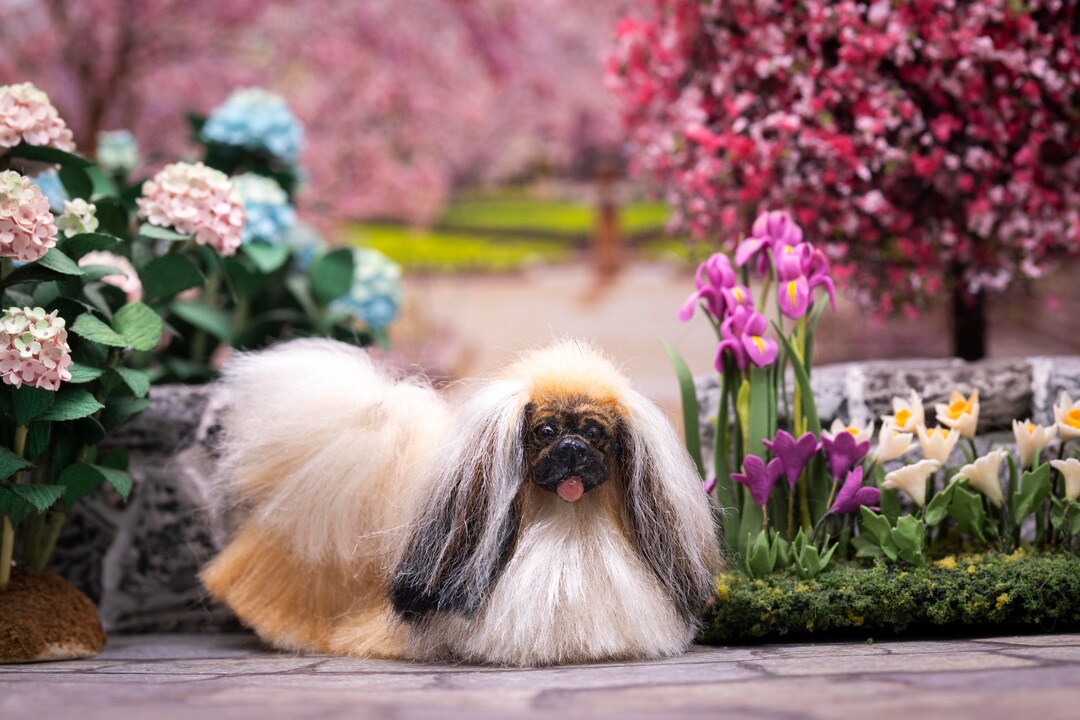 Dollhouse Miniature Miniature Pekingese Lap Dog Artist Sculpted Furred ...