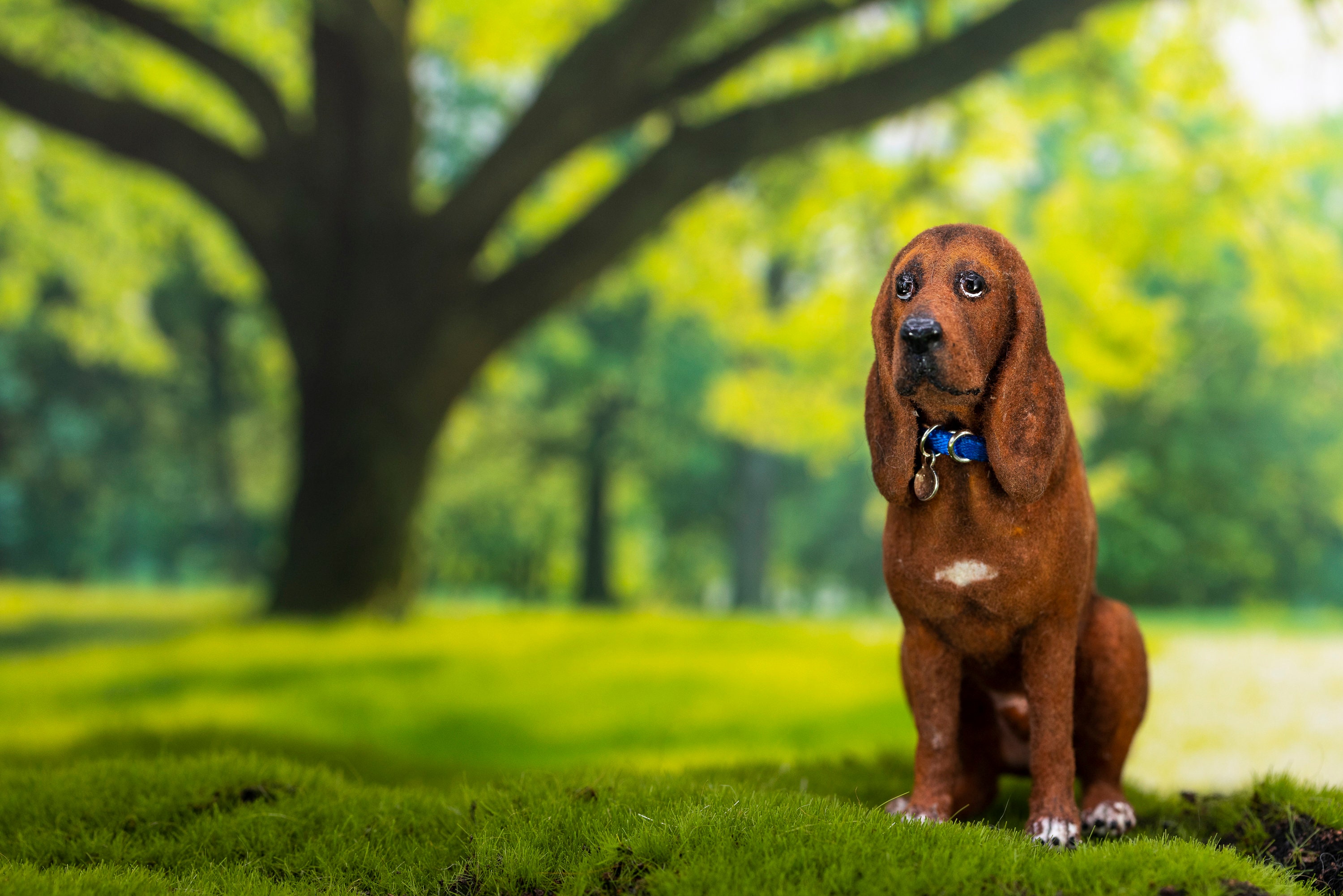 Miniature Bloodhound