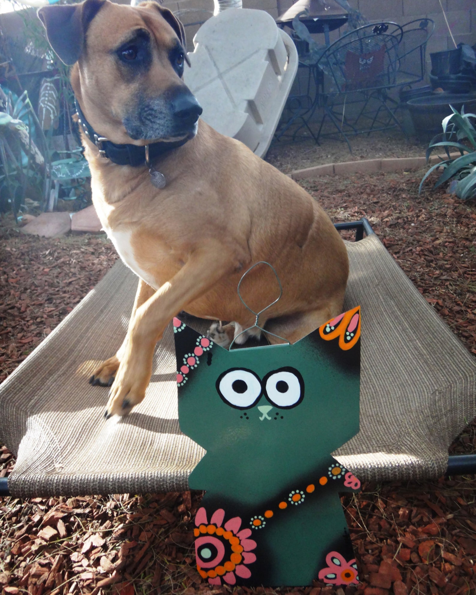 Banjo Cat: Good Luck Good Laugh Good Kitty Metal Cat Sign | Etsy