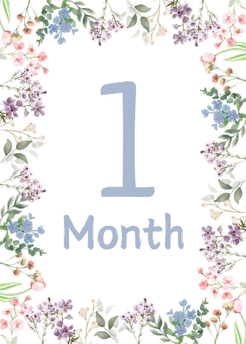 Baby Monthly Milestone Cards - Watercolor Floral Design (digital ...