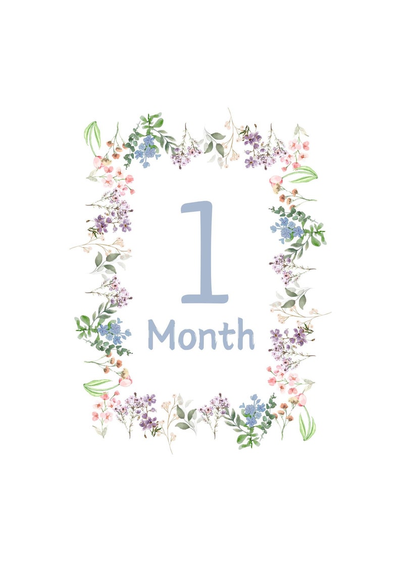 Baby Monthly Milestone Cards - Watercolor Floral Design (digital ...