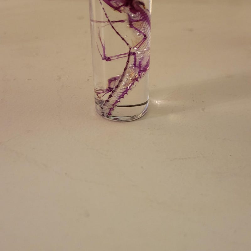 Diaphonization - Etsy