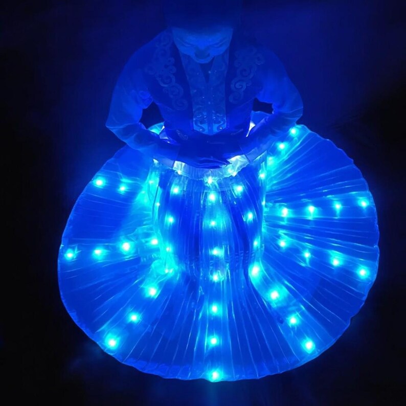 Rainbow LED Light up Belly Dance Skirt Illuminated Dance Skirt Rave ...