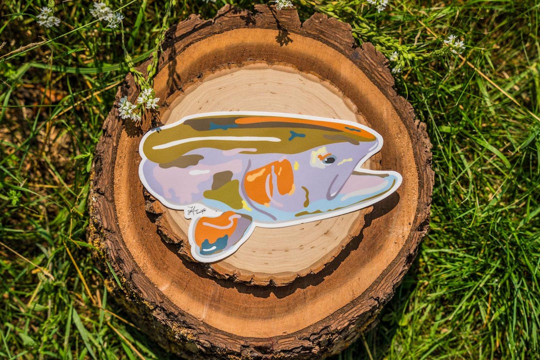 Colorful Fish Decal - Steelhead - Etsy
