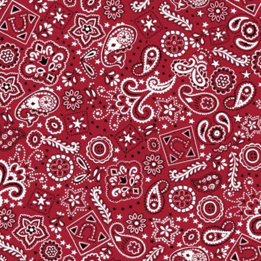 Paisley Bandana Red Flannel Fabric BTY/ HY Oasis Fabrics 446402 ...