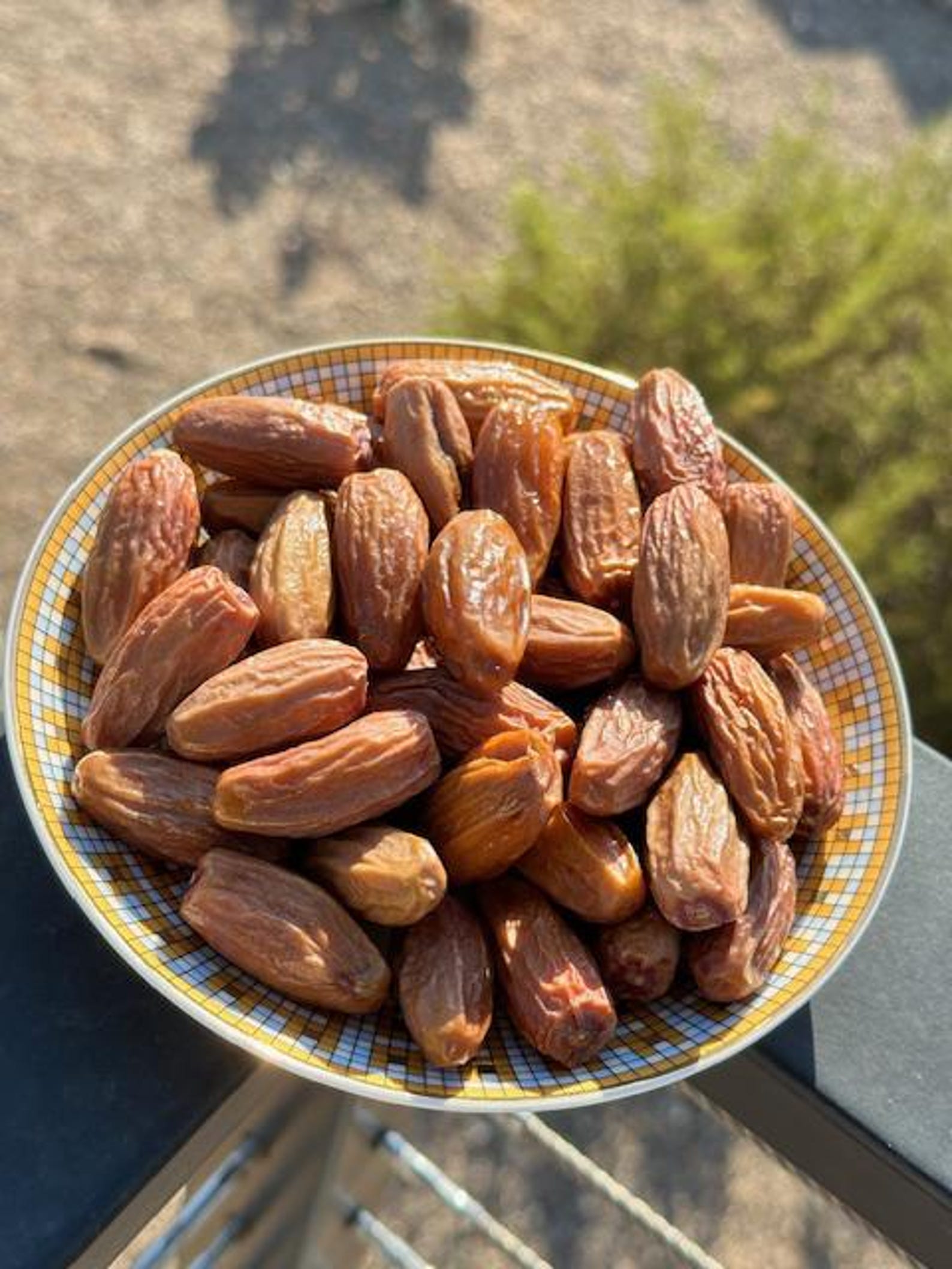 Organic Medjool Dates, Fresh Premium Quality, Natural Dried Fruit ...