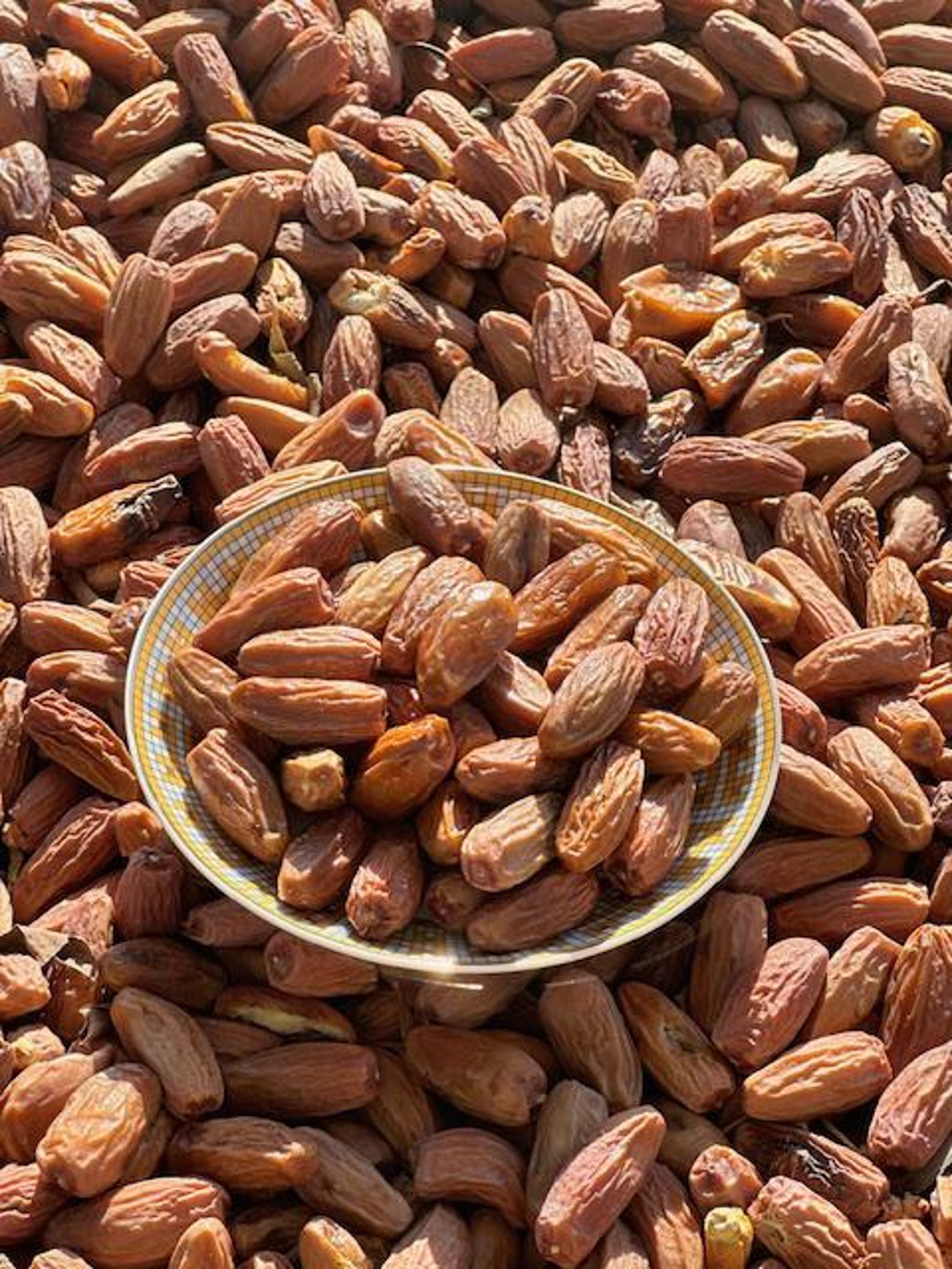 Organic Medjool Dates, Fresh Premium Quality, Natural Dried Fruit ...