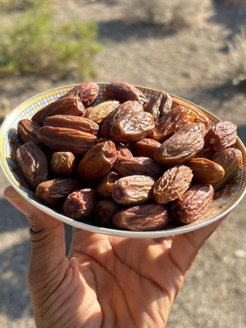 Organic Medjool Dates, Fresh Premium Quality, Natural Dried Fruit ...