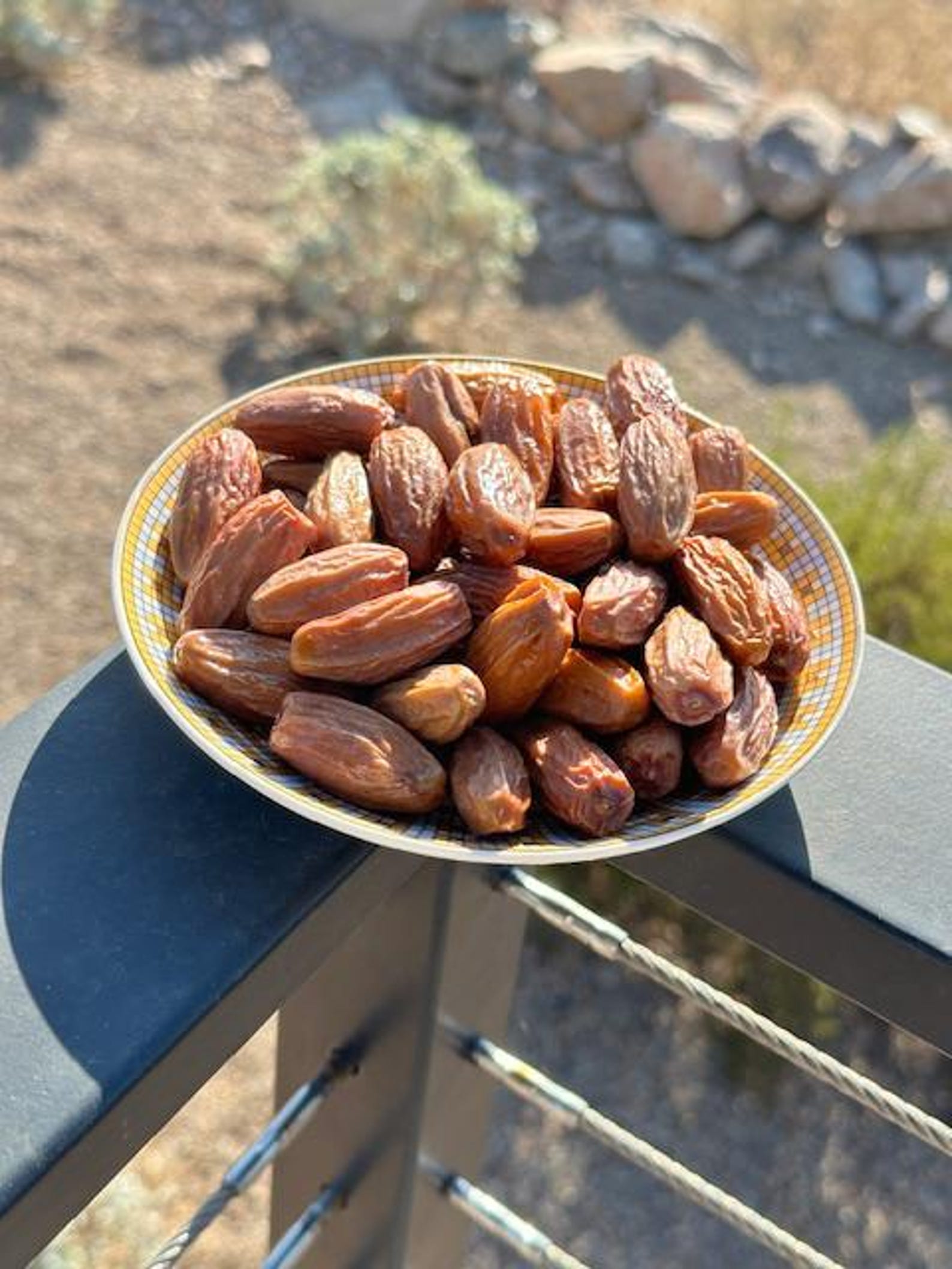 Organic Medjool Dates, Fresh Premium Quality, Natural Dried Fruit ...