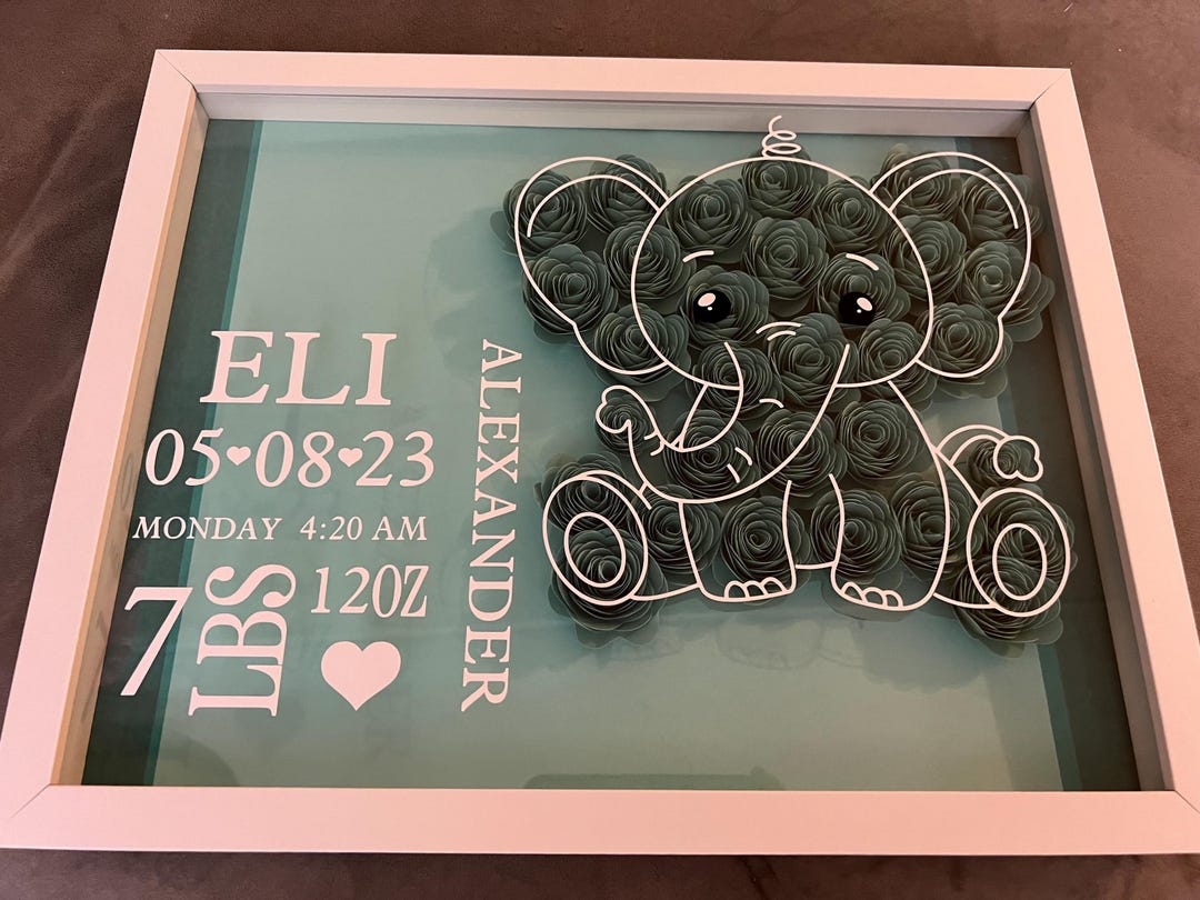 Customizable Baby Stats Shadow Box (made With Cardstock Paper Flowers ...