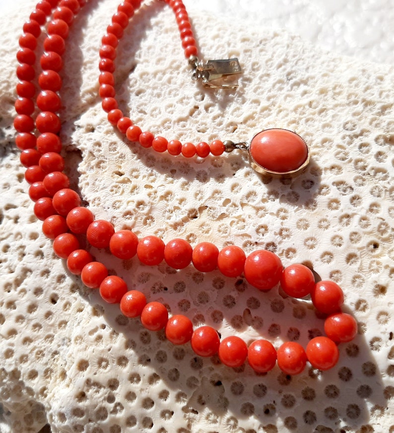 Vintage Red Coral Mediterranean Red Coral AAA Graduated Red - Etsy