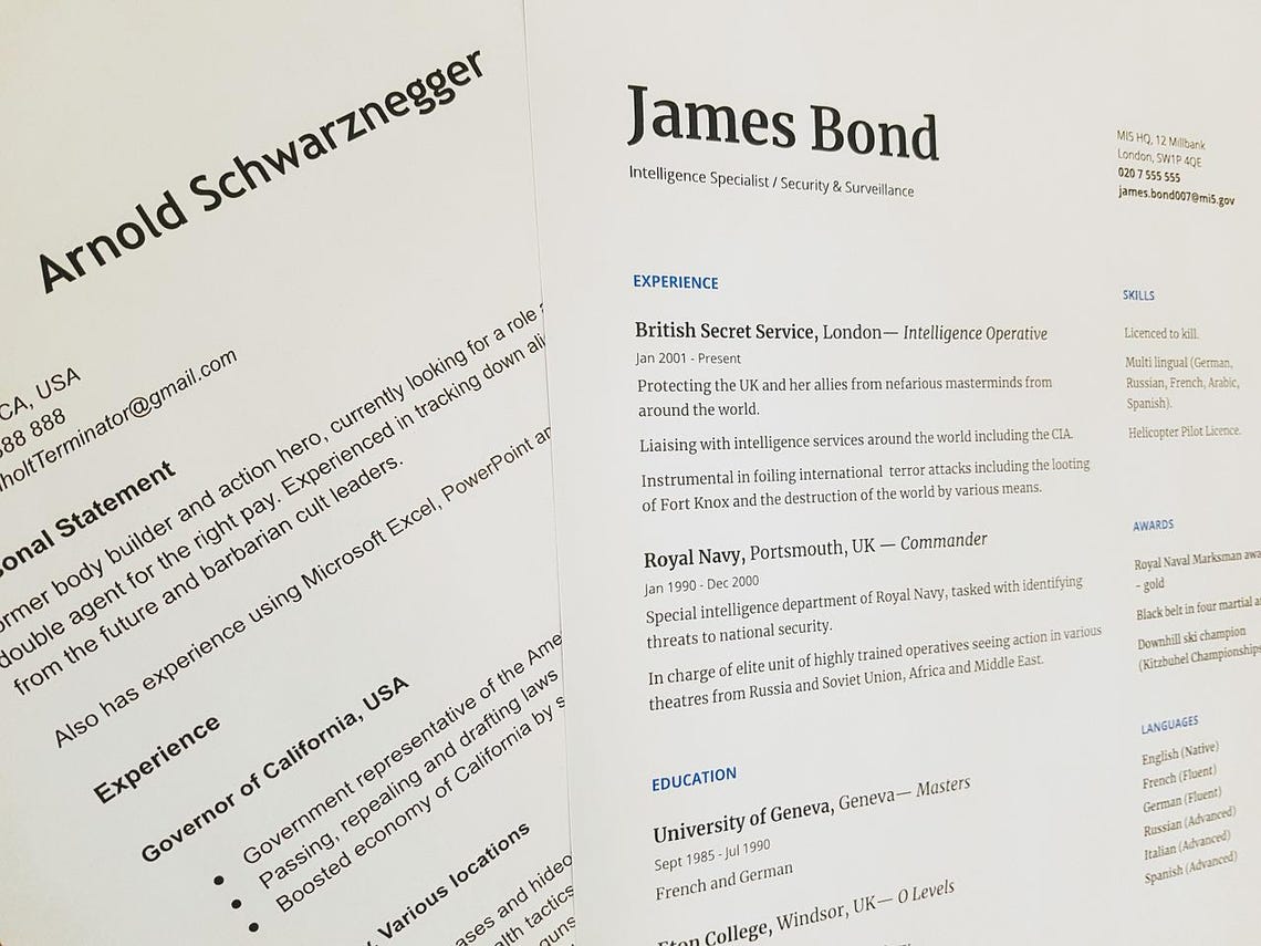 Professional Resume Template With Bonus Tips for Success - Etsy