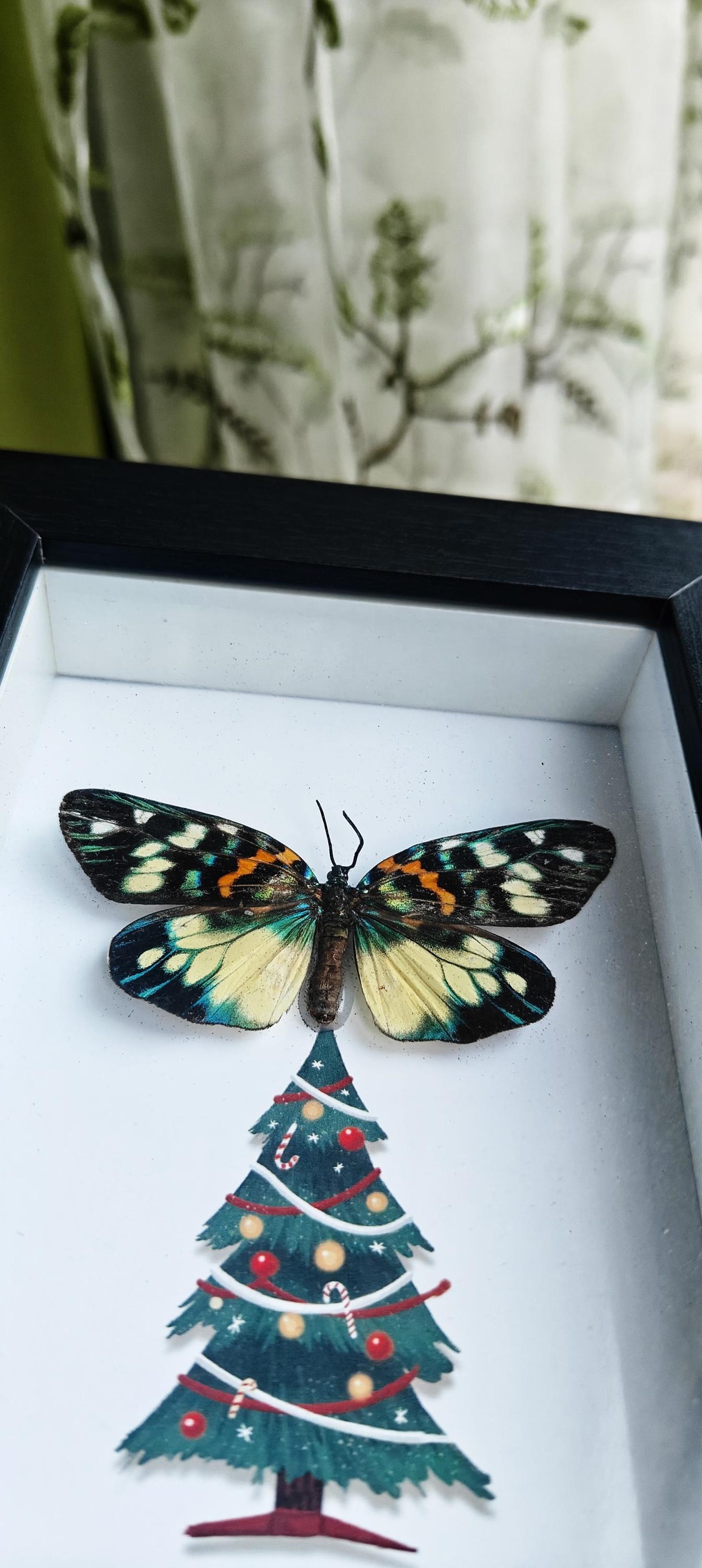 Real Brocade Moth With Christmas Tree in 6 Frame, Christmas Decor ...
