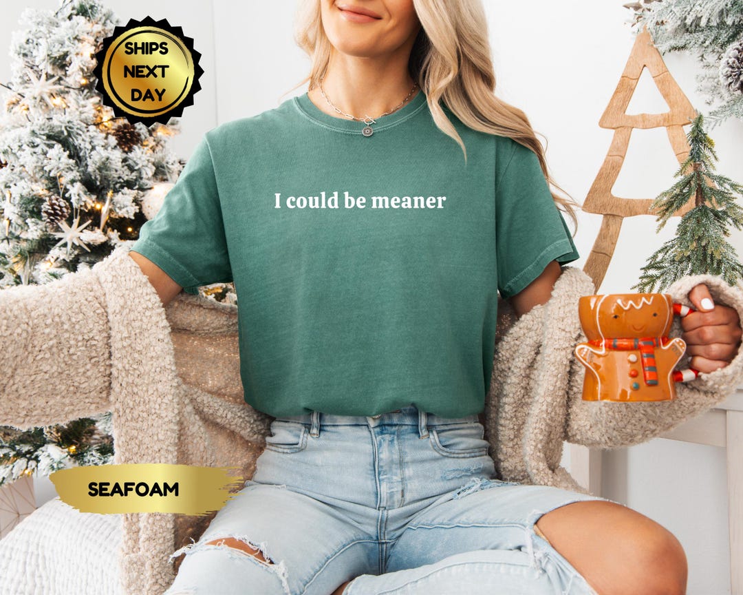 Comfort Colors 'I Could Be Meaner' Shirt - Sarcastic Humor Tee - Etsy