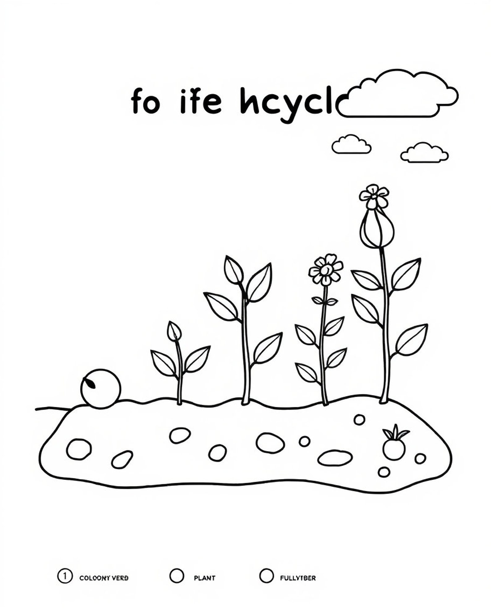 Nature's Wonders: Educational Coloring Pages FOR KIDS - Etsy