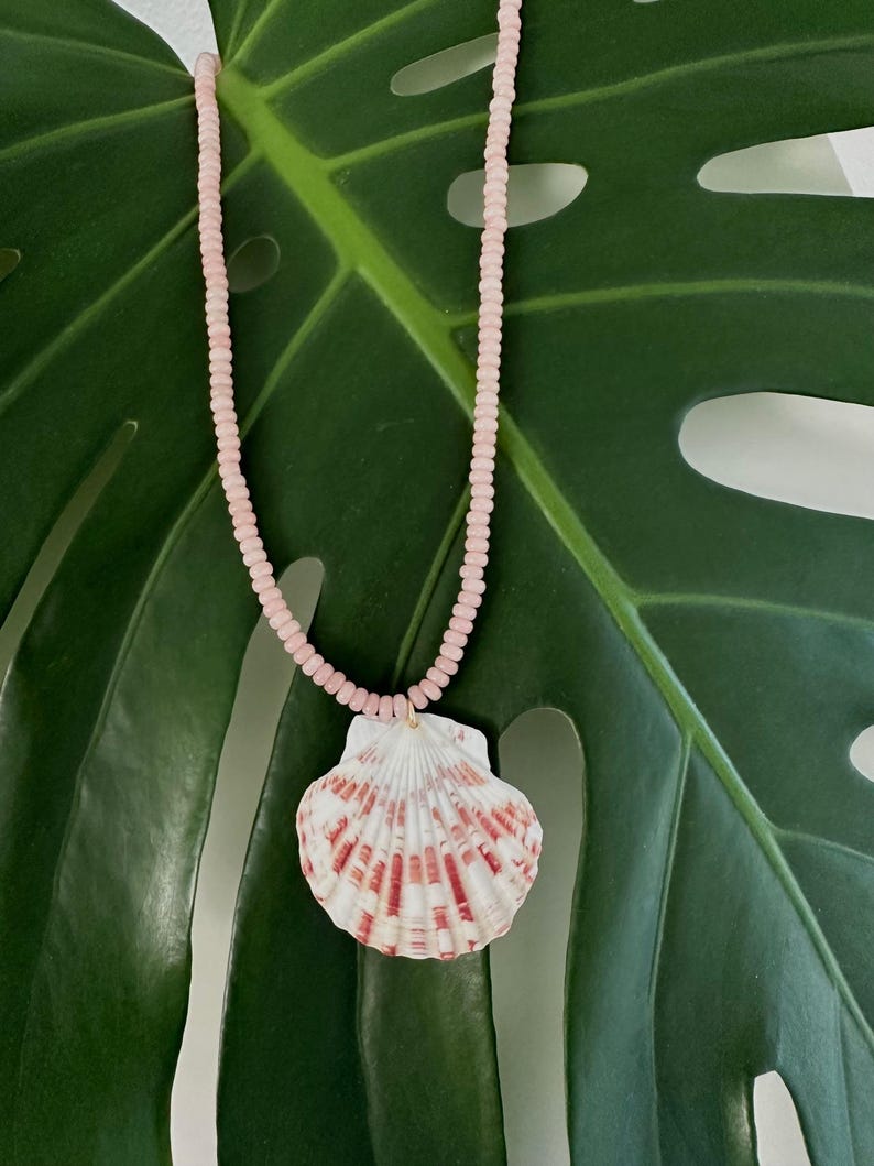 Pink and White Scallop Shell With Pink Opal Beads - Etsy