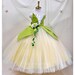 The Frog Princess Costume, Princess Birthday Party Themed, Frog and ...