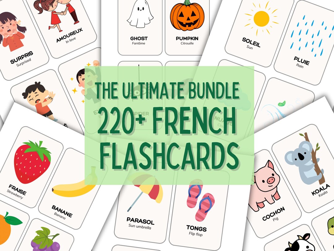 Ultimate Bundle 220+ French Flashcards | Summer, Weather, Animals ...