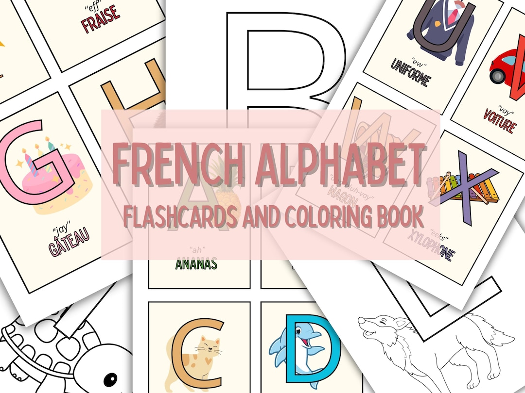 French Alphabet Flashcards With Pronunciation & Vocabulary + Alphabet ...
